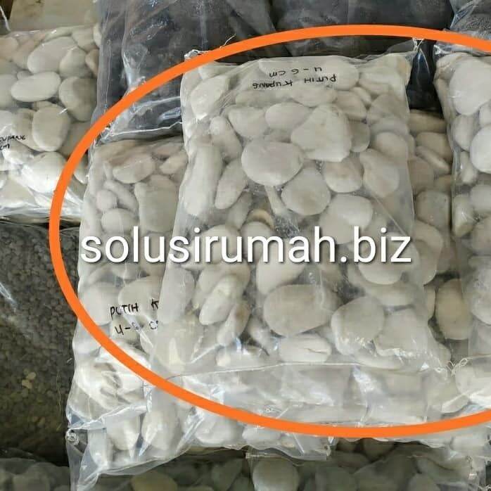 BATU ALAM PEBBLE PUTIH 40-60MM KORAL HIAS PUTIH KUPANG PER 1KG batu ...