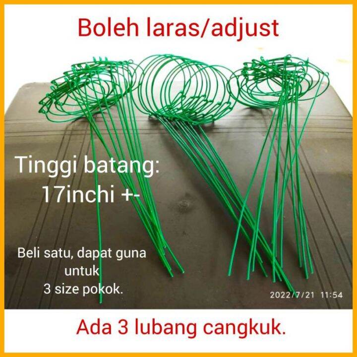 Besi Keladi Boleh Laras/adjust 10 PIECE(s)/0 Besi Penyokong Pokok ...