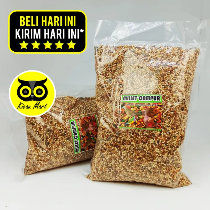 Kicau Mart Milet Campur 1 Kg Biji Millet Campur Milet Putih Merah ...