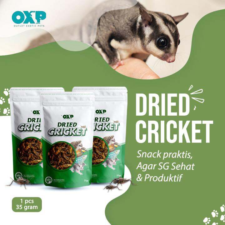 Jangkrik Kering Snack Hewan Sugar Glider, Hamster, Dan Burung | Lazada ...