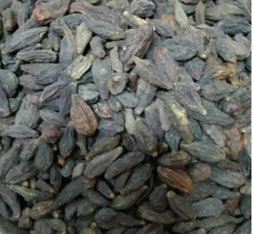 Pinju Kadukkai - Buah Langkau - Small Inknut 200g | Lazada