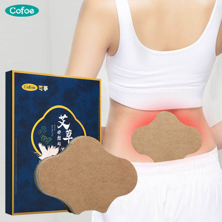 Cofoe 12pcs Wormwood Lumbar Spine Stickers Self-heating Lumbar Spine ...
