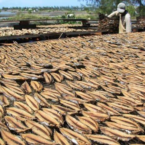 Ikan Kayu Keumamah Aceh 500gr | Lazada Indonesia