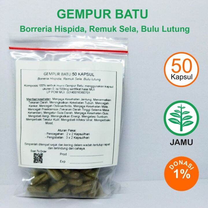 GEMPUR BATU 50 KAPSUL Meningkatkan Kekebalan Tubuh Osteoarthritis ...