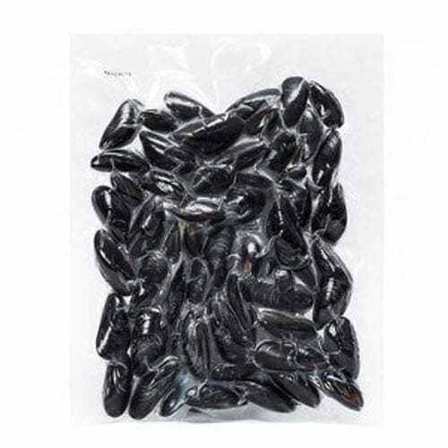Cooked and Frozen Whole Shell Mussels Seachamp (454g) | Lazada PH