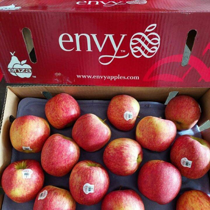 buah Apel Envy New Zealand jumbo, 1 dus | Lazada Indonesia