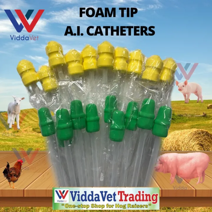 Viddavet Foam tip Catheter w/ end cap for sows/gilts (pig) 10pcs for ...