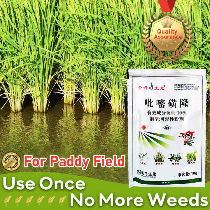 SS🌾Herbicide for rice harmless to rice 10g Rice herbicide Rice max ...