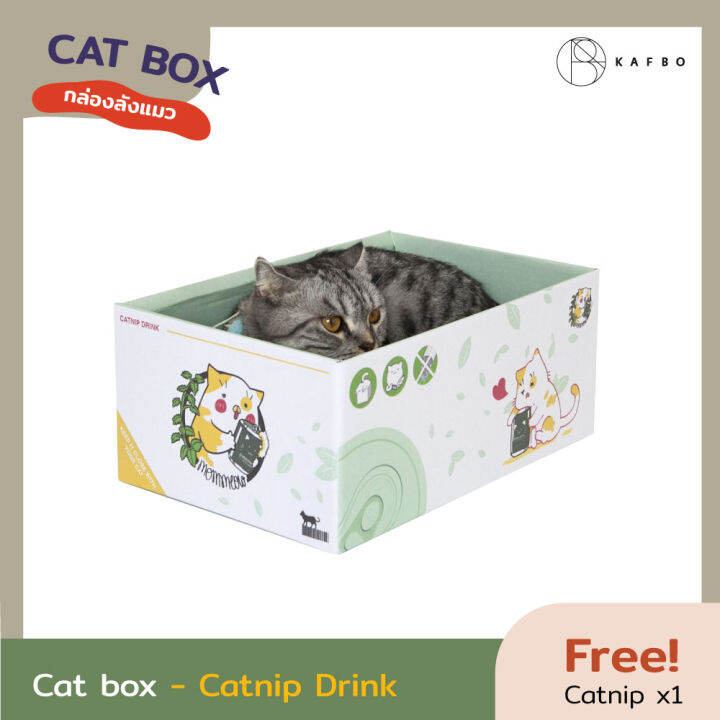 KAFBO Cat box - Catnip drink กล่องแมว กล่องลังแมว บ้านแมว ที่ลับเล็บแมว ...