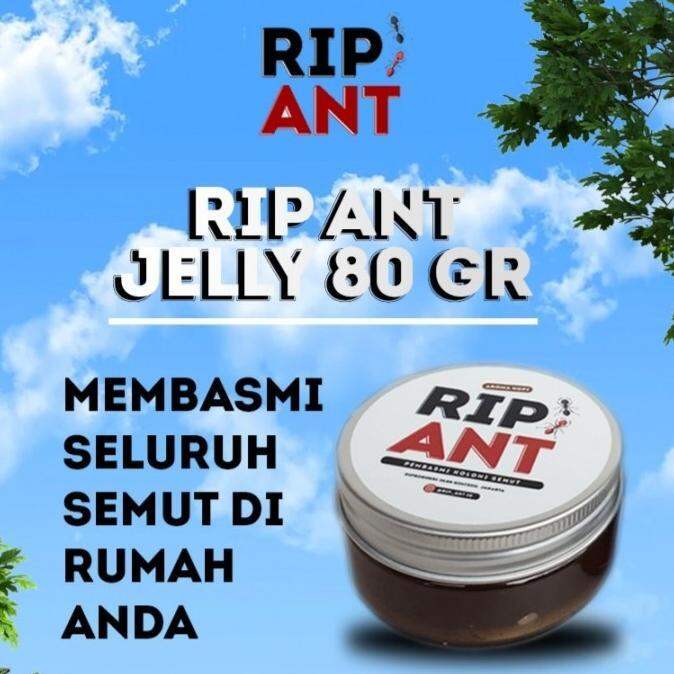 BISA COD pembasmi semut RIP-ANT jelly 80 gram/LEM TIKUS SUPER LENGKET ...