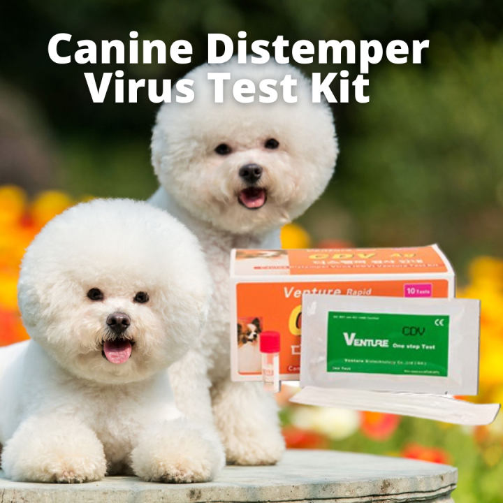 [Kareina Shop ph] Canine Parvo Test Kit | Home Health Detection For ...