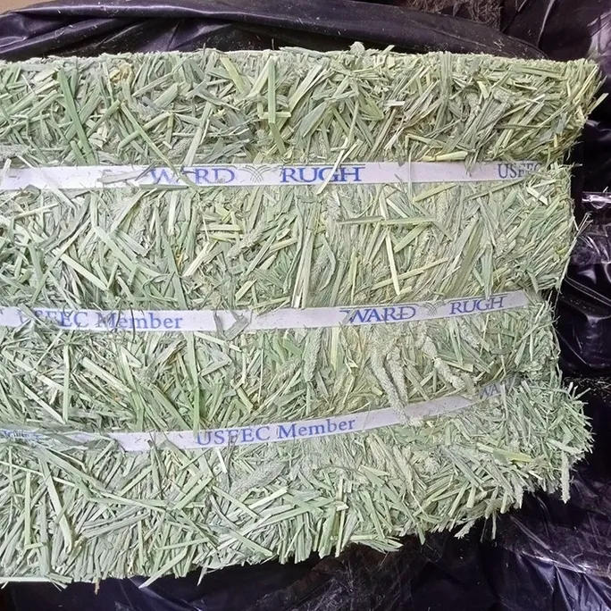 หญ้าทีมโมธี Timothy Super premium Ward Rugh First cut แบบปึก 3, 5 กิโล ...