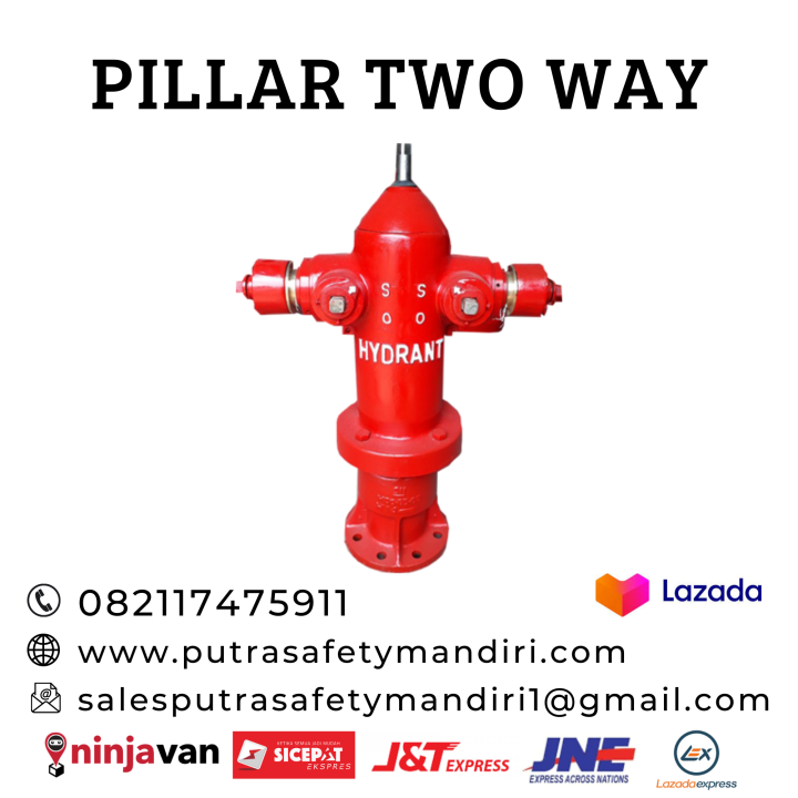 HYDRANT PILLAR TWO WAY 4X2.5X2.5 INCH BODY COR MACHINO BRASS FLANGE JIS10K | Lazada Indonesia