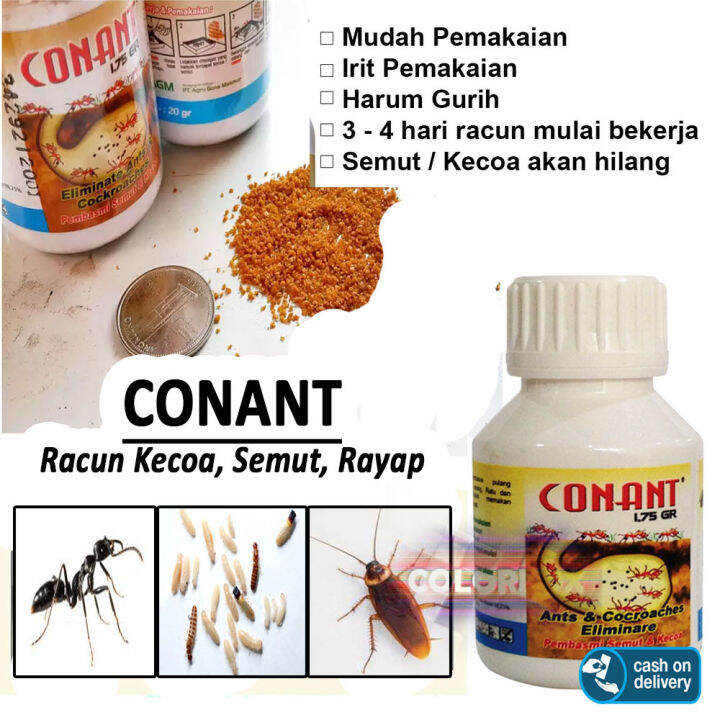 Conant Racun Kecoa Obat Pembasmi Kecoa 20 gram (1 PC) Insektisida ...