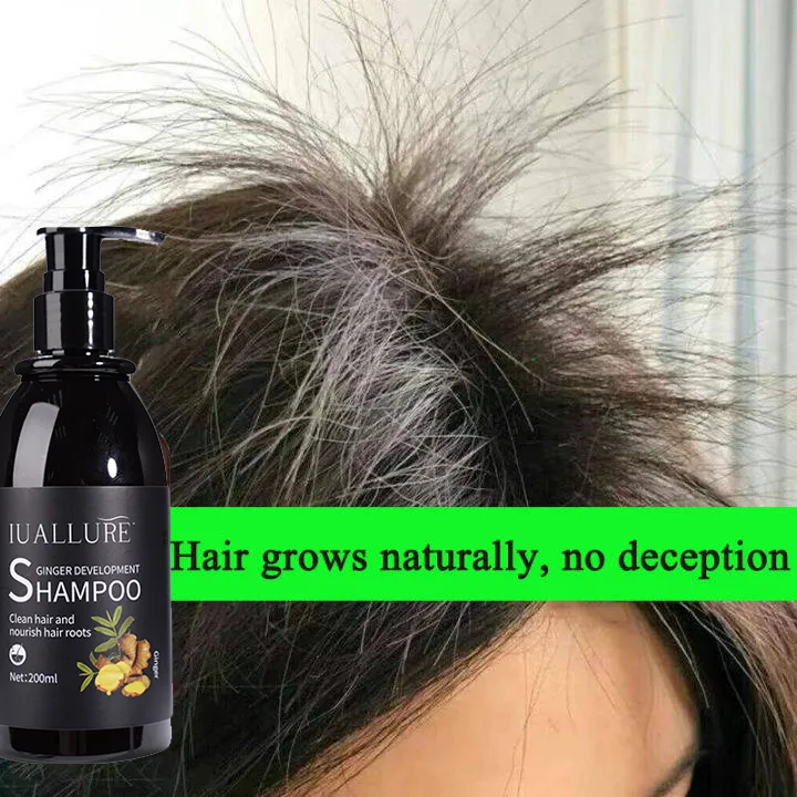 [Hot deals] Herbal Ginger Anti Hair Loss Shampoo Oil Control Dandruff ...