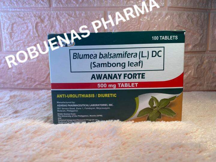 Sambong Leaf 500mg (Blumea balsamifera (L.) DC) | Lazada PH