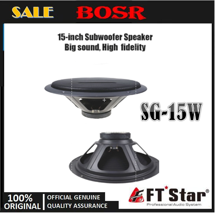 FT STAR FT-15W 250W to 300W 15 Inches Dual 8 Ohms Professional Woofer ...