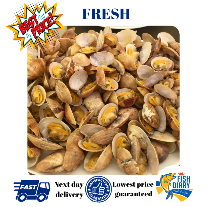 Lala / Sea Water Clams 蛤蜊(500g) (FREE DELIVERY for purchase RM120 ...