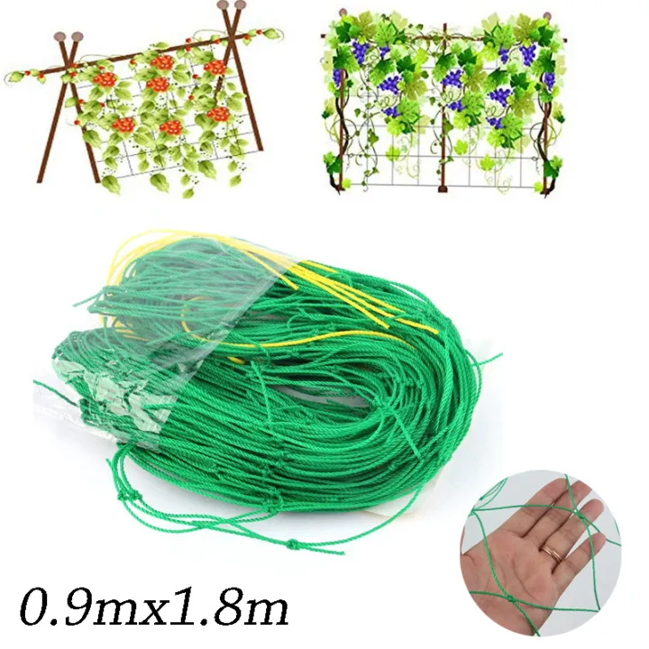 Garden Net Plants001-0.9x1.8m Plants Garden Net Support Cage | Lazada PH