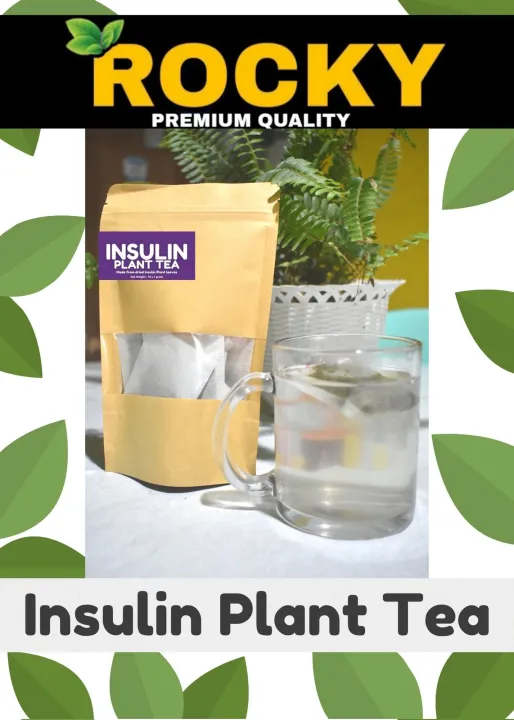 Insulin Plant Tea // 10 x 1 gram // 10 Tea Bags // Herbal Tea | Lazada PH