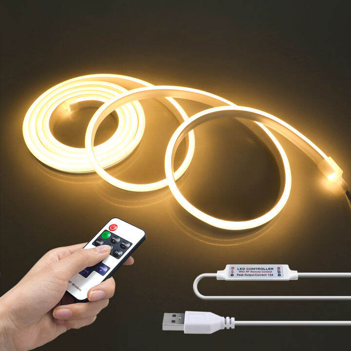 USB 5V LED Neon Strip Light Wireless Remote Controller Or Dimmable ...