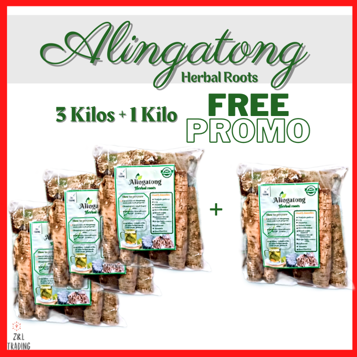 RED ALINGATONG HERBAL ROOTS RED VARIANT (3+1 KILO FREE PROMO) | Lazada PH