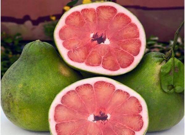 Pokok Limau Bali Merah | Lazada