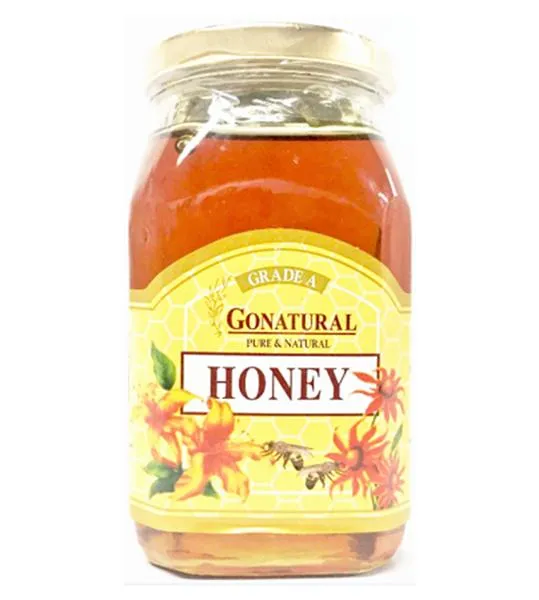 Gonatural Honey (500gm Bottle) | Lazada