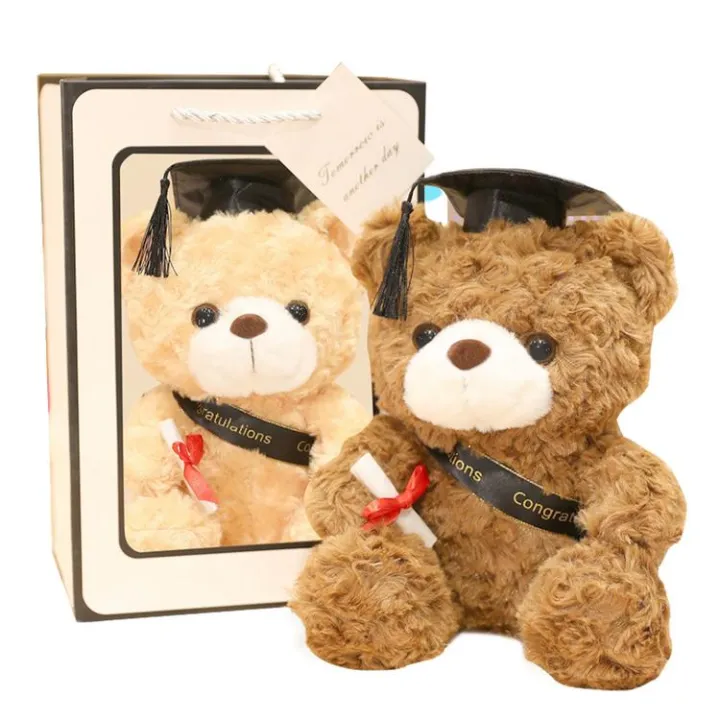 Plush Stuffed Teddy Bear Graduation 2022 Graduation Bear with Hat ...