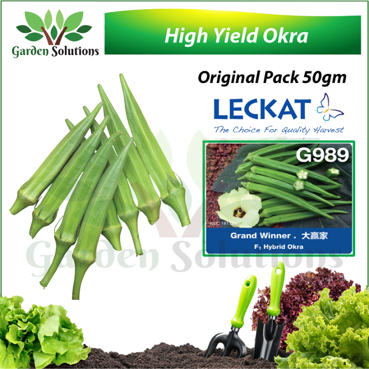 Paket/Tin 50g Leckat Seed Biji Benih Kacang Bendi Okra Seeds Ready ...