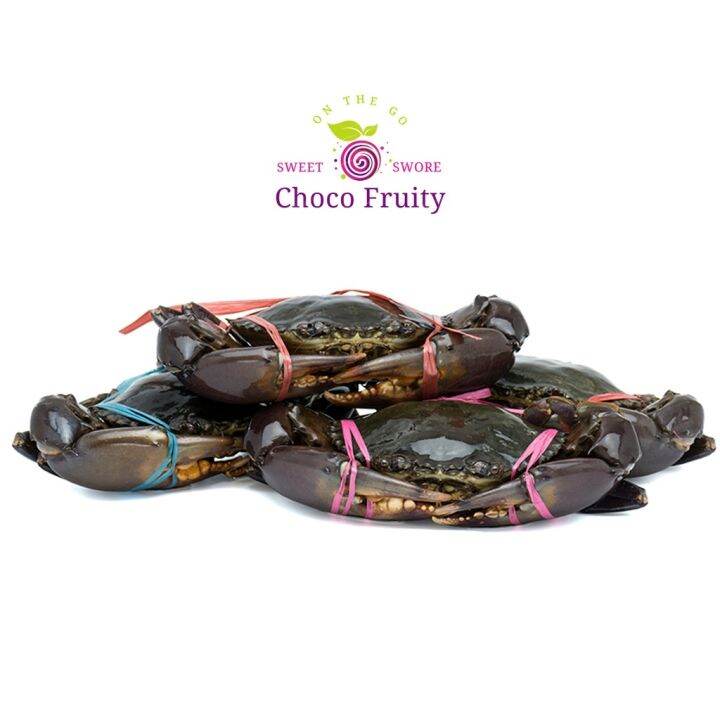 Fresh Crab / Alimango - 1kg | Lazada PH