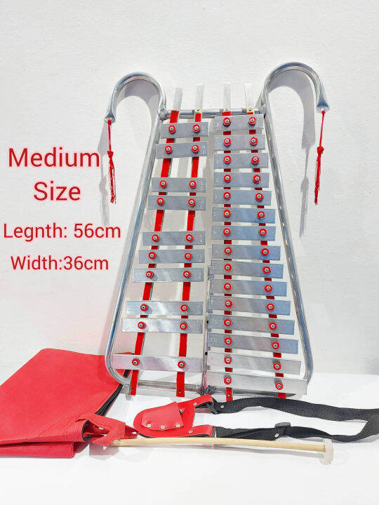 Davis Lyre Xylophone With Bag, Lyre beater and Strap (Medium, Small ...