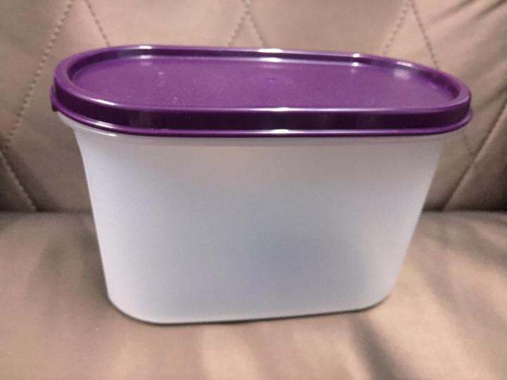Tupperware MM Oval 1.1 L 1 UNIT | Lazada