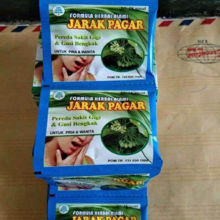 PROMO Jarak pagar obat sakit gigi | Lazada Indonesia