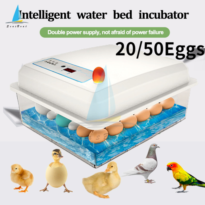 Seasboat Aideepen Eggs Incubator 20/50 Eggs Digital Mini Automatic Incubator with Turner for ...