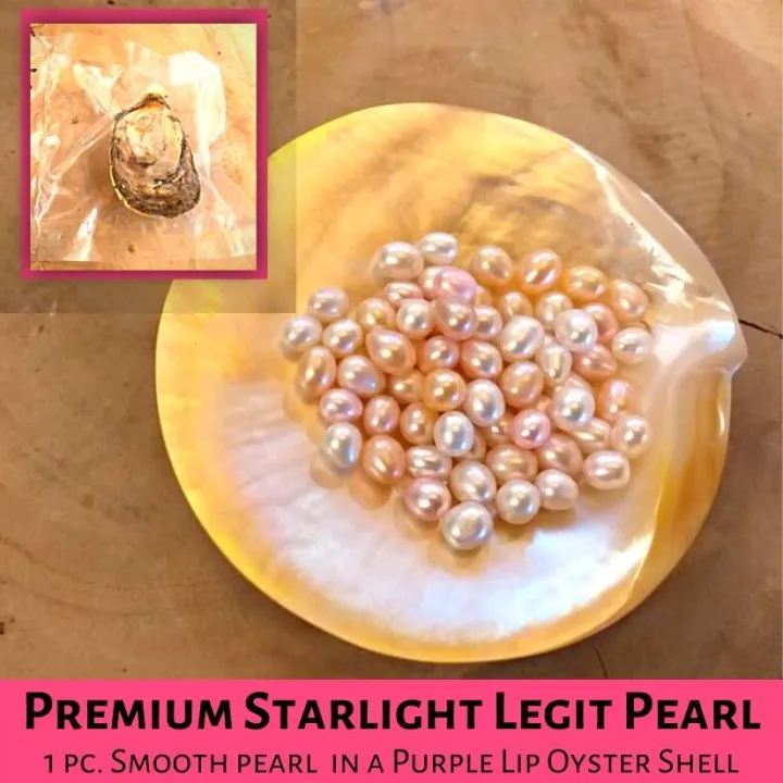 Premium Starlight Pearl- Smooth/ Natural Colors in Oyster Shell /Legit ...