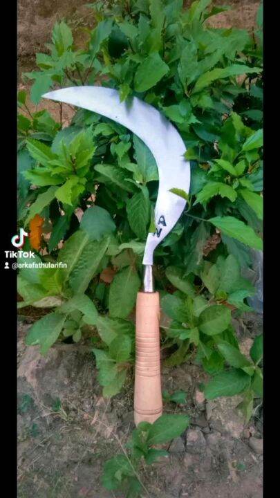 arit rumput # asli buatan Madura # super Glowing dan tajam | Lazada ...