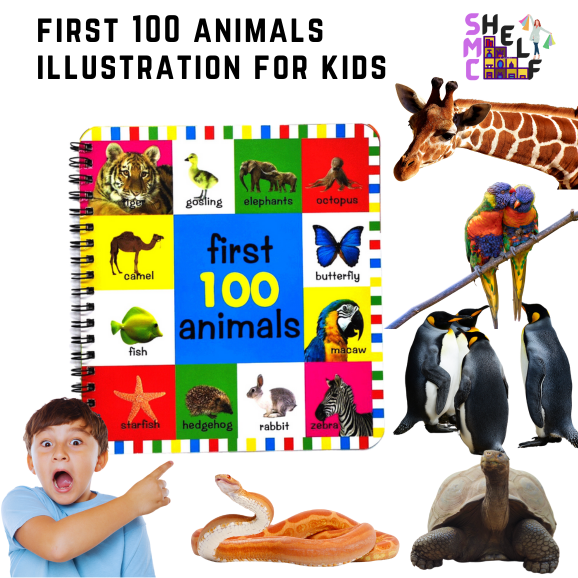 SMC SHELF "Explore the Animal Kingdom: First 100 Animals Booklet for ...