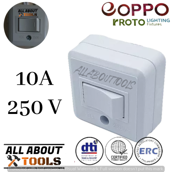 (AAT) 1 PC Surface Mounted Convenience Switch 10A 250V | Lazada PH