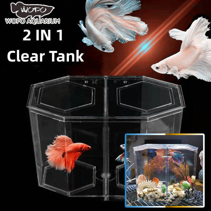 Aquarium Dual Betta Fish tank 2 in 1 Clear Tank With Divider | Lazada PH