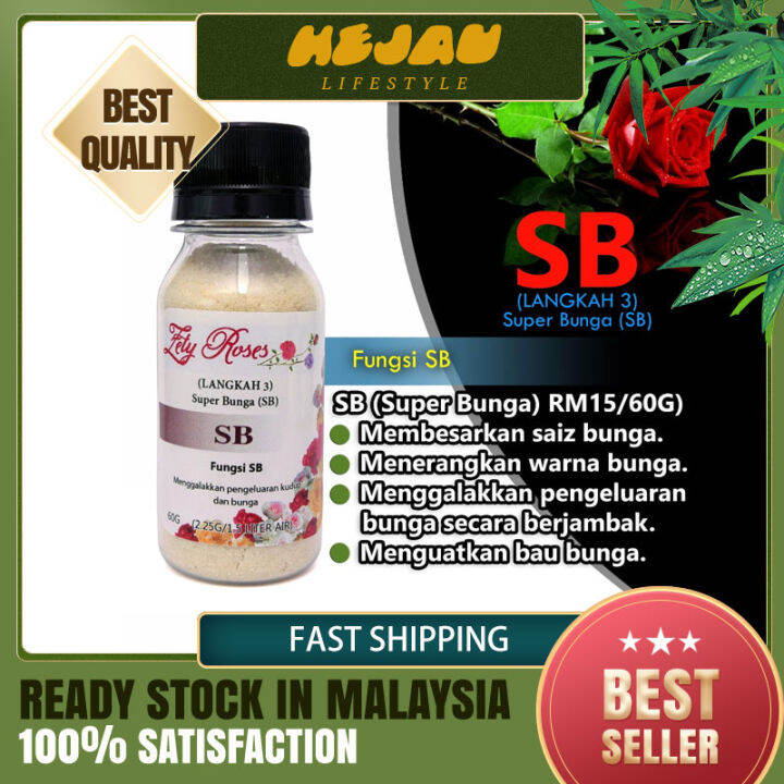 【24H SHIP OUT】SB Semburan Ros Zety Roses (60g) Membesarkan size bunga ...