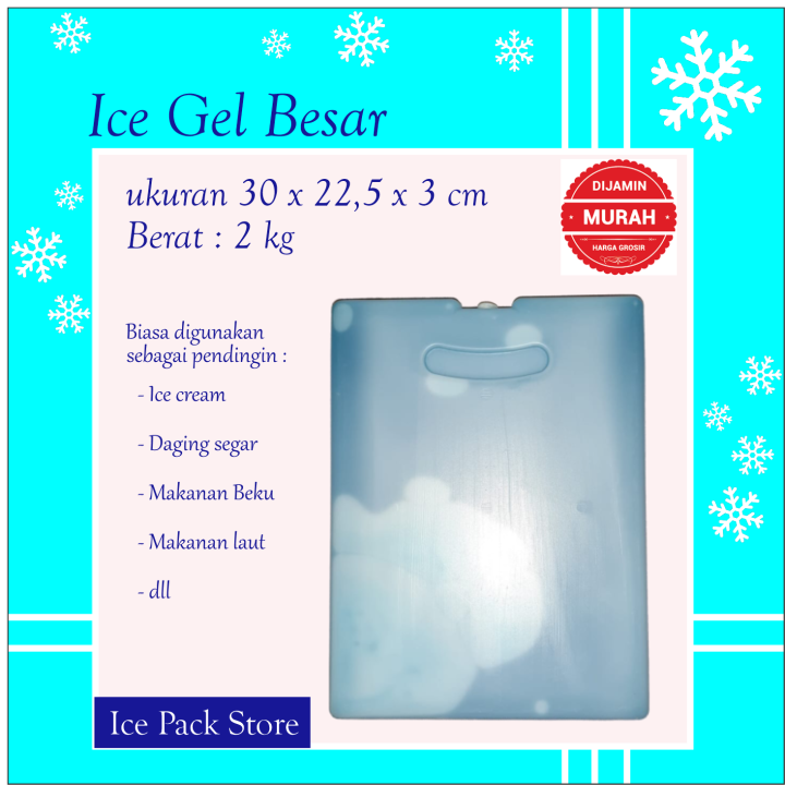 Ice Pack Besar | Lazada Indonesia