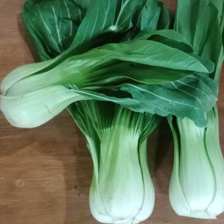 Sayur Pakcoy Segar Pakchoi Pak Choi | Lazada Indonesia