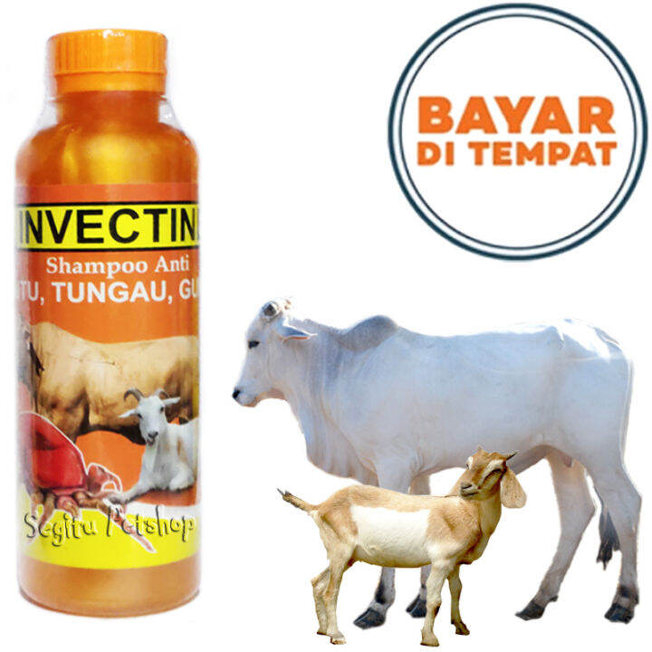 SAMPO KUTU SAPI KAMBING INVECTINE ANTI PARASIT TUNGAU TICK AND FLEA ...