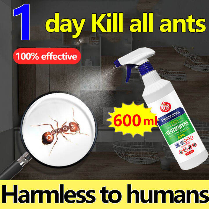 【3 day Kill the ants completely】Effective ant removal spray 600ml Ant ...