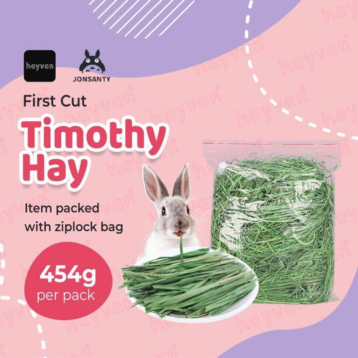 First Cut Timothy Hay 1lb454g Rabbit Guinea Pig Food American Timothy ...