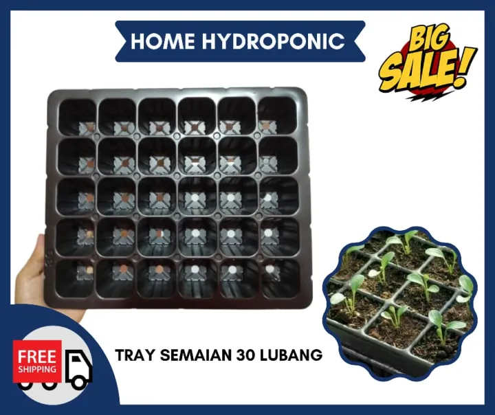 TRAY SEMAI ANAK POKOK 30 LUBANG / TRAY GERMINATION 30 HOLE | Lazada