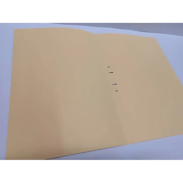 Lion File Simple Manila File *Thick Quality* (25pcs/pkt) | Lazada