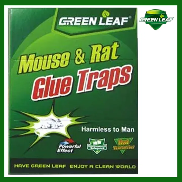 Rat & Mouse Sticky Mice Rodent Glue Board Bait Trap | Lazada PH