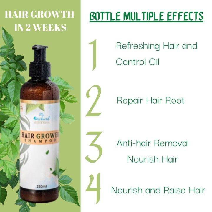 Best Selling Effective Hair Grower Shampoo Anti Hair Loss Shampoo With ...